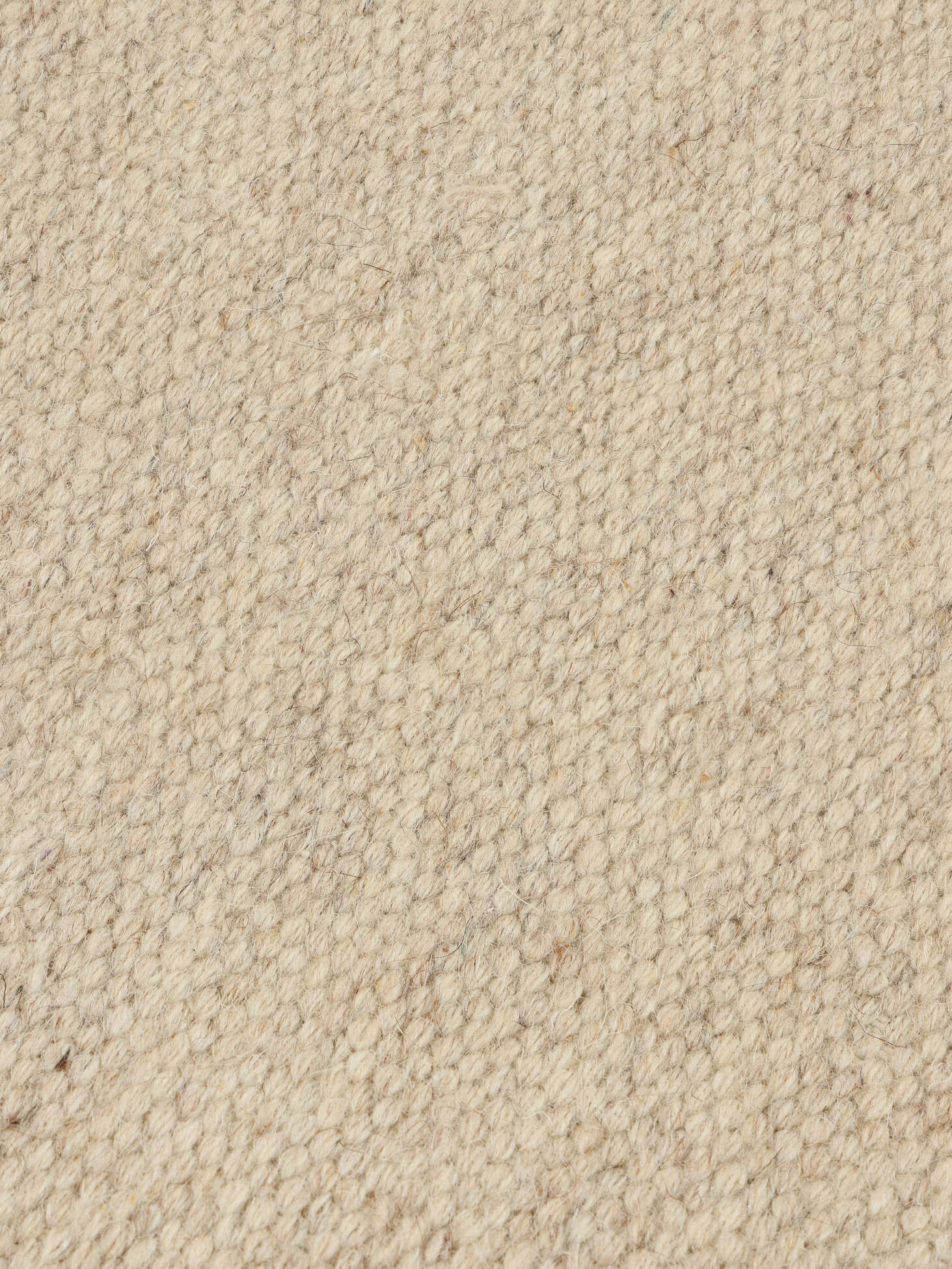 Spring Harvest - Beige 200 x 300 cm Wool Rug - Rugvista