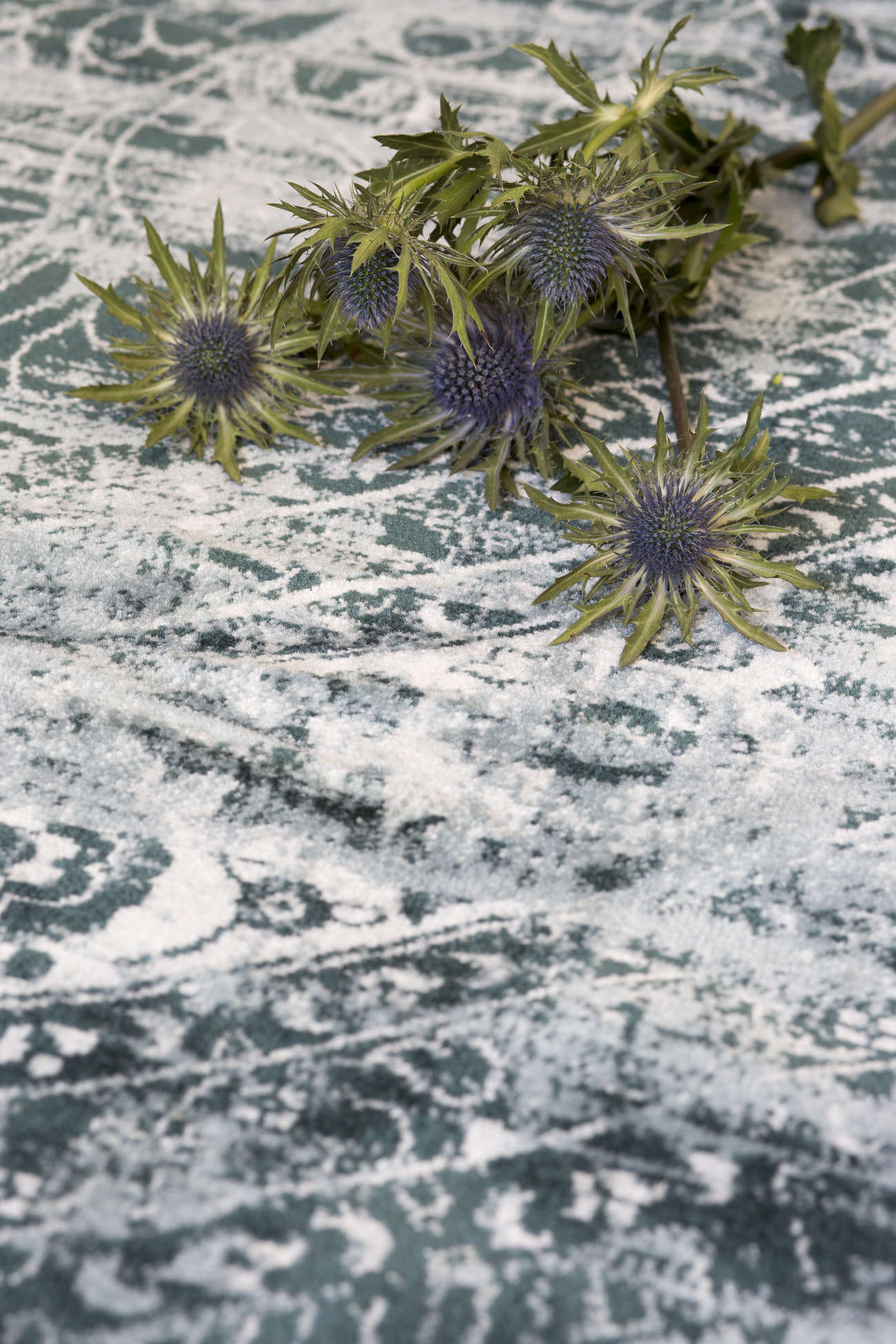 Jacinda - Dark Teal 250 x 300 cm Rug - Rugvista